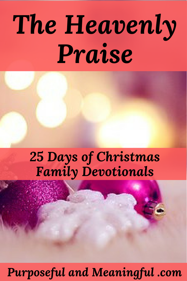 Advent Day 20: The Heavenly Praise - Purposeful and Meaningful