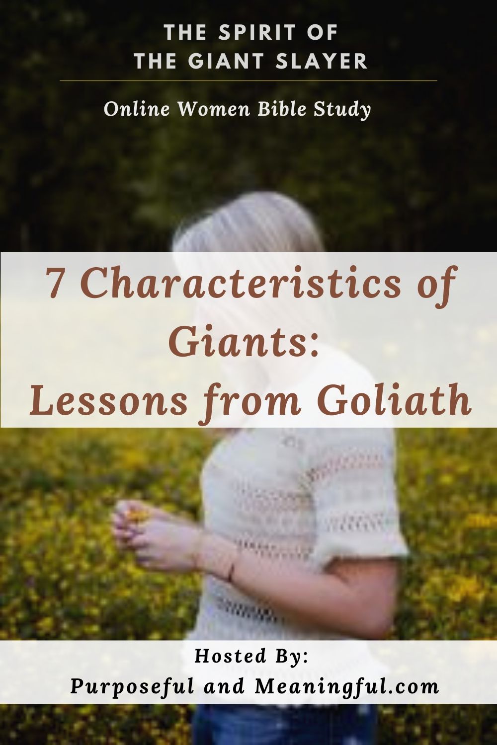 Identifying the Giants in Your Life - Purposeful and Meaningful