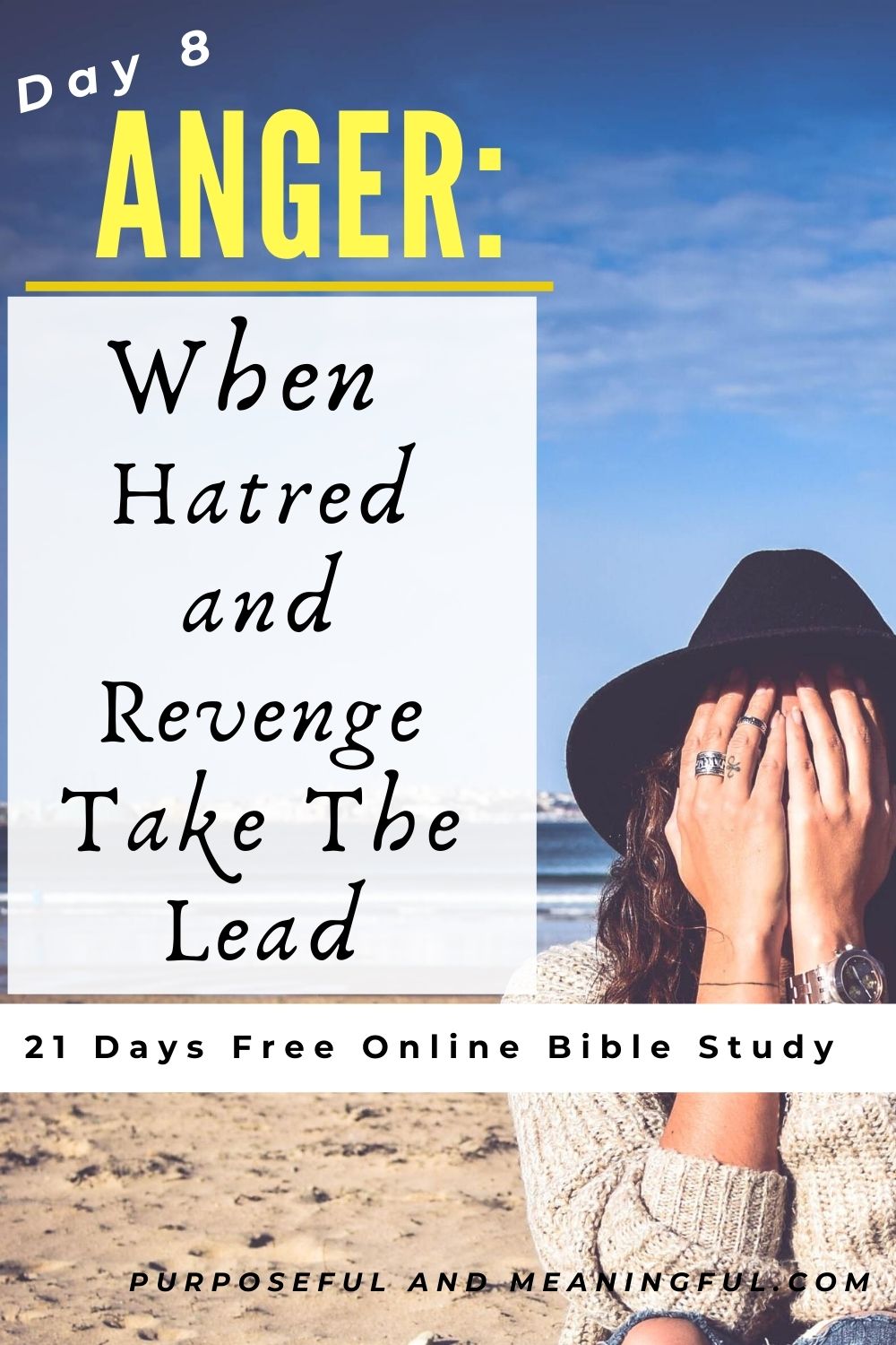 Anger: When Hatred and Revenge Take the Lead - Purposeful and Meaningful
